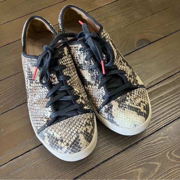 Clarks | Shoes | Clarks Snakes Skin Sneakers | Poshmark